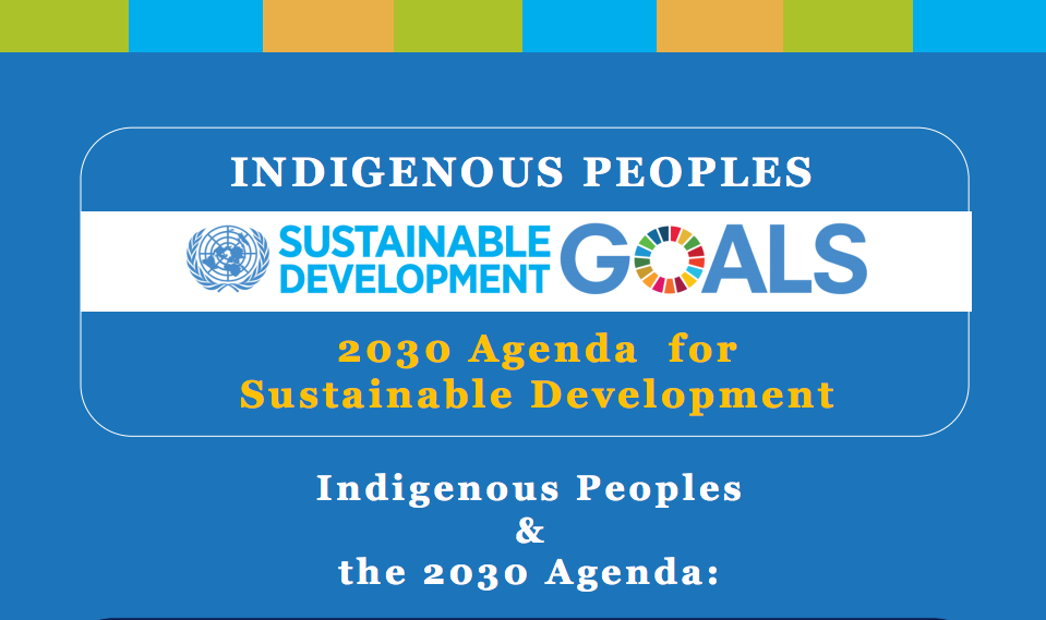 What do the Sustainable Development Goals Mean for Indigenous Peoples ...