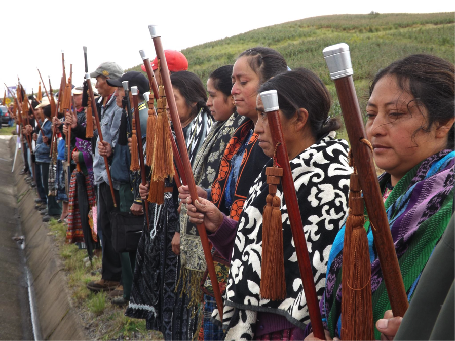 What happened in Toto? | Cultural Survival