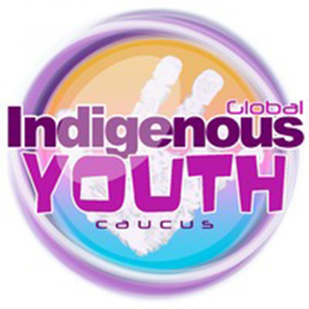 The Faces Behind the UN Global Indigenous Youth Caucus | Cultural Survival