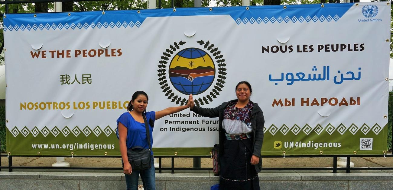 Resources for Indigenous Peoples | Cultural Survival