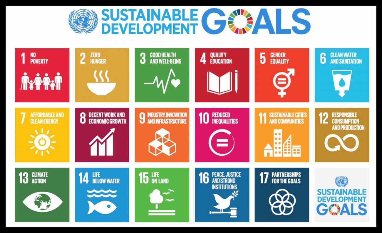 What Do the Sustainable Development Goals Mean for Indigenous Peoples ...
