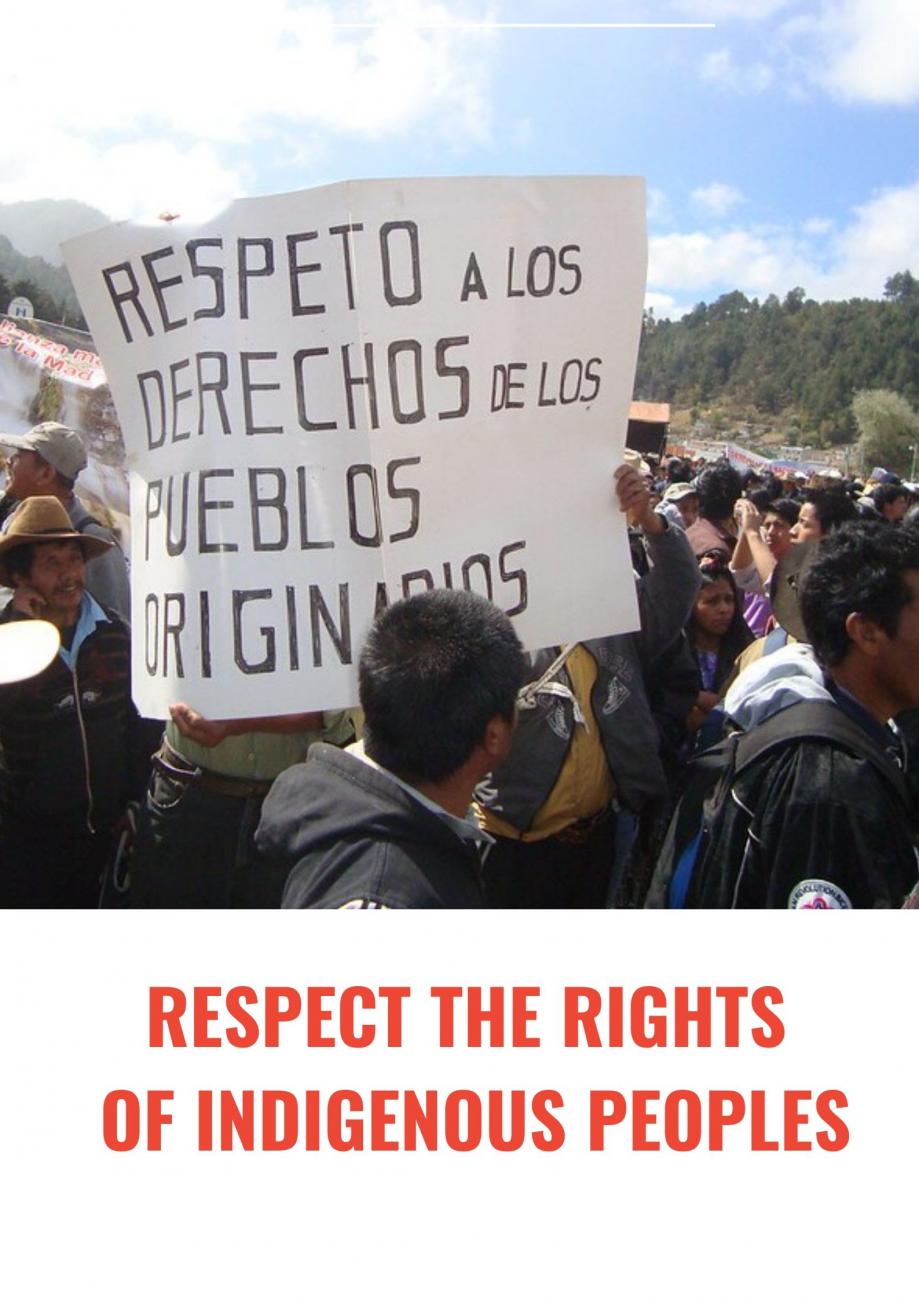 Indigenous Peoples Have the Right to Maintain Relations Across Borders ...