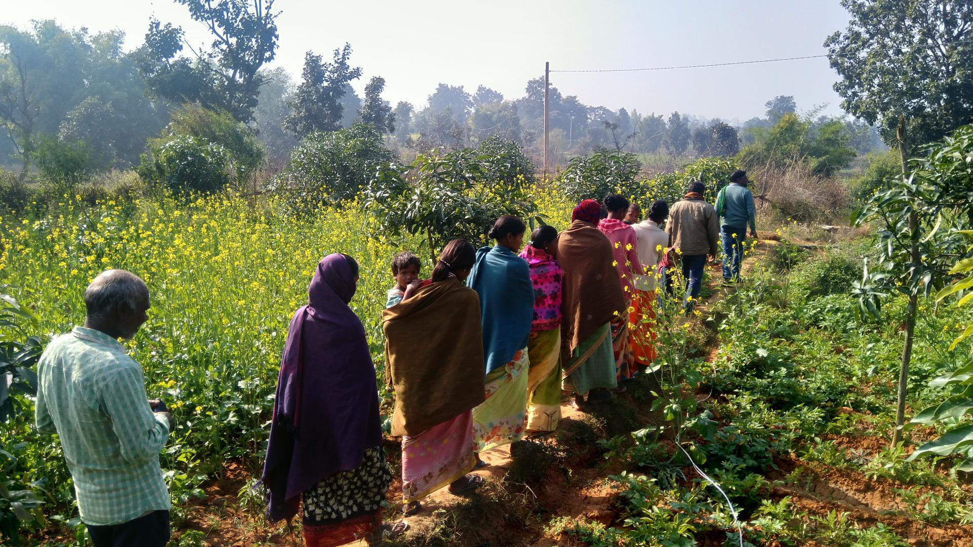 For the Indigenous Economy, the Forest Is Life | Cultural Survival