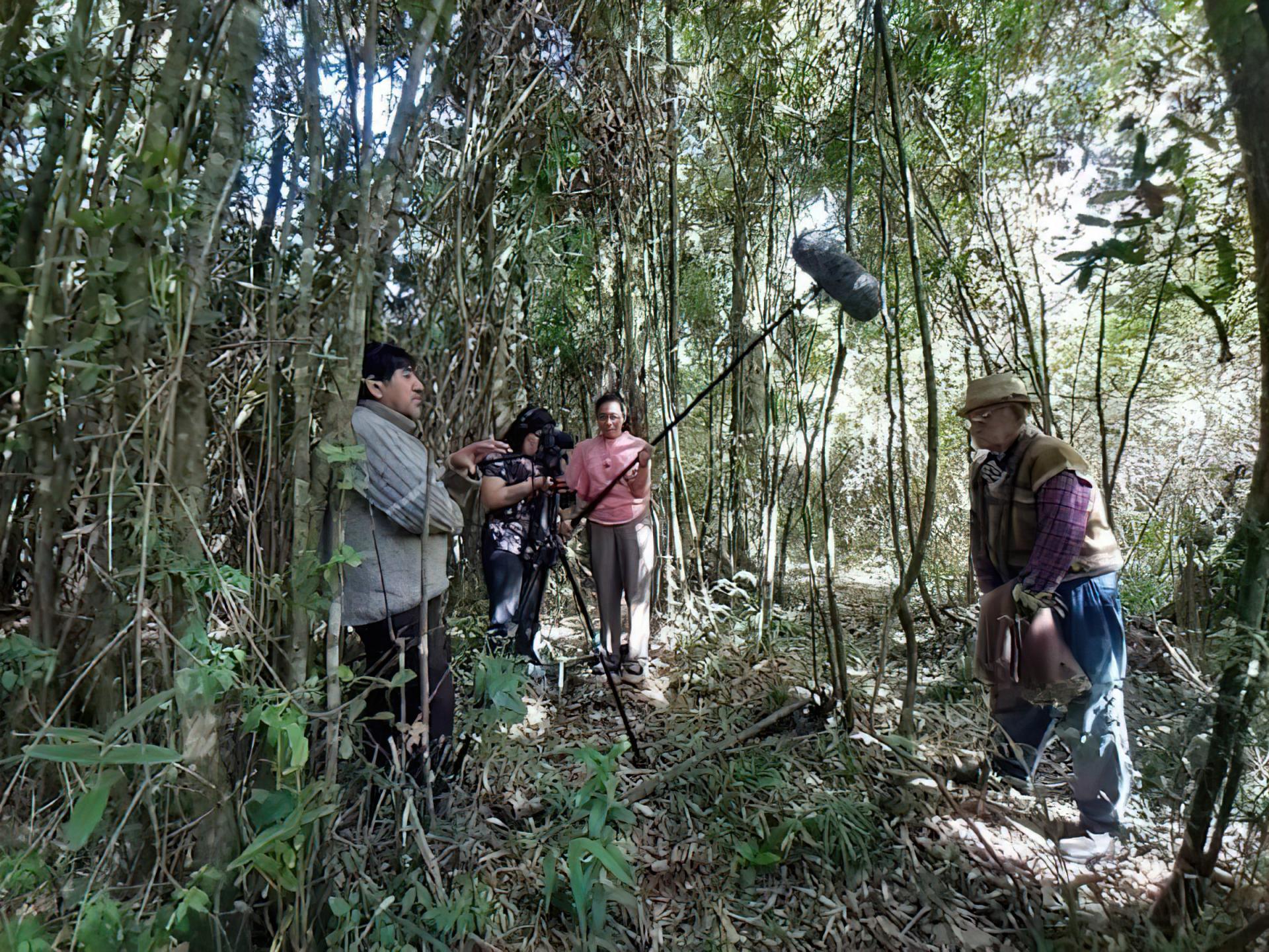 Youth Strengthening Indigenous Communication Through Media | Cultural ...