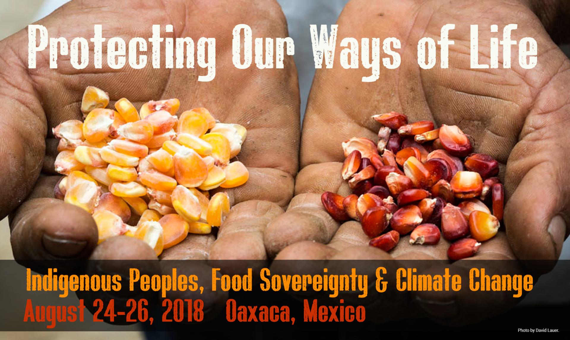 Protecting Our Ways of Life: Indigenous Peoples, Food Sovereignty, and ...