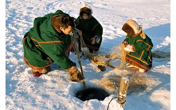 Cultural Survival Stands in Solidarity with the Indigenous Peoples of ...