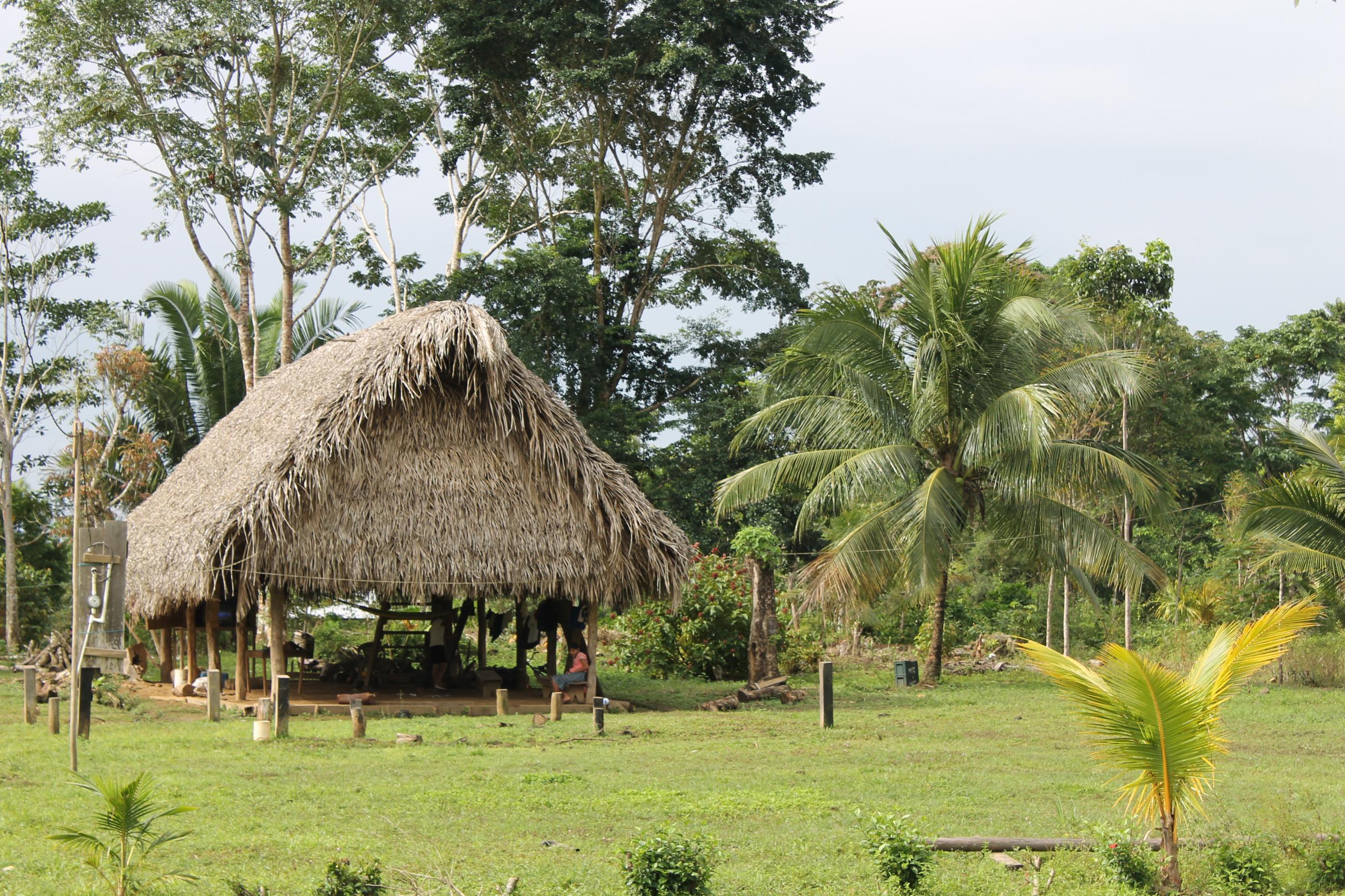 The Full Participation of Belize's Indigenous People is Crucial to ...