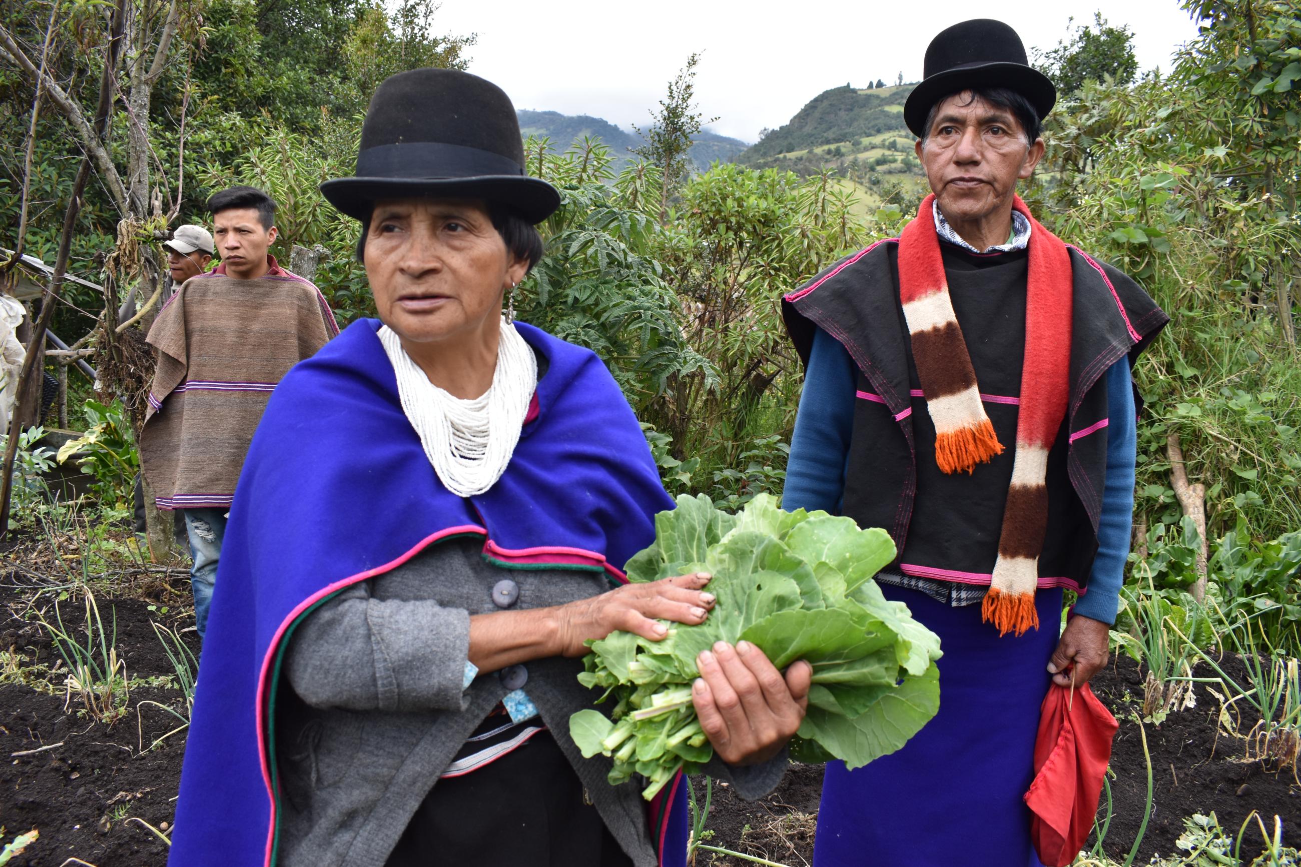 Decolonizing Biodiversity Stewardship through Indigenous Cosmology ...