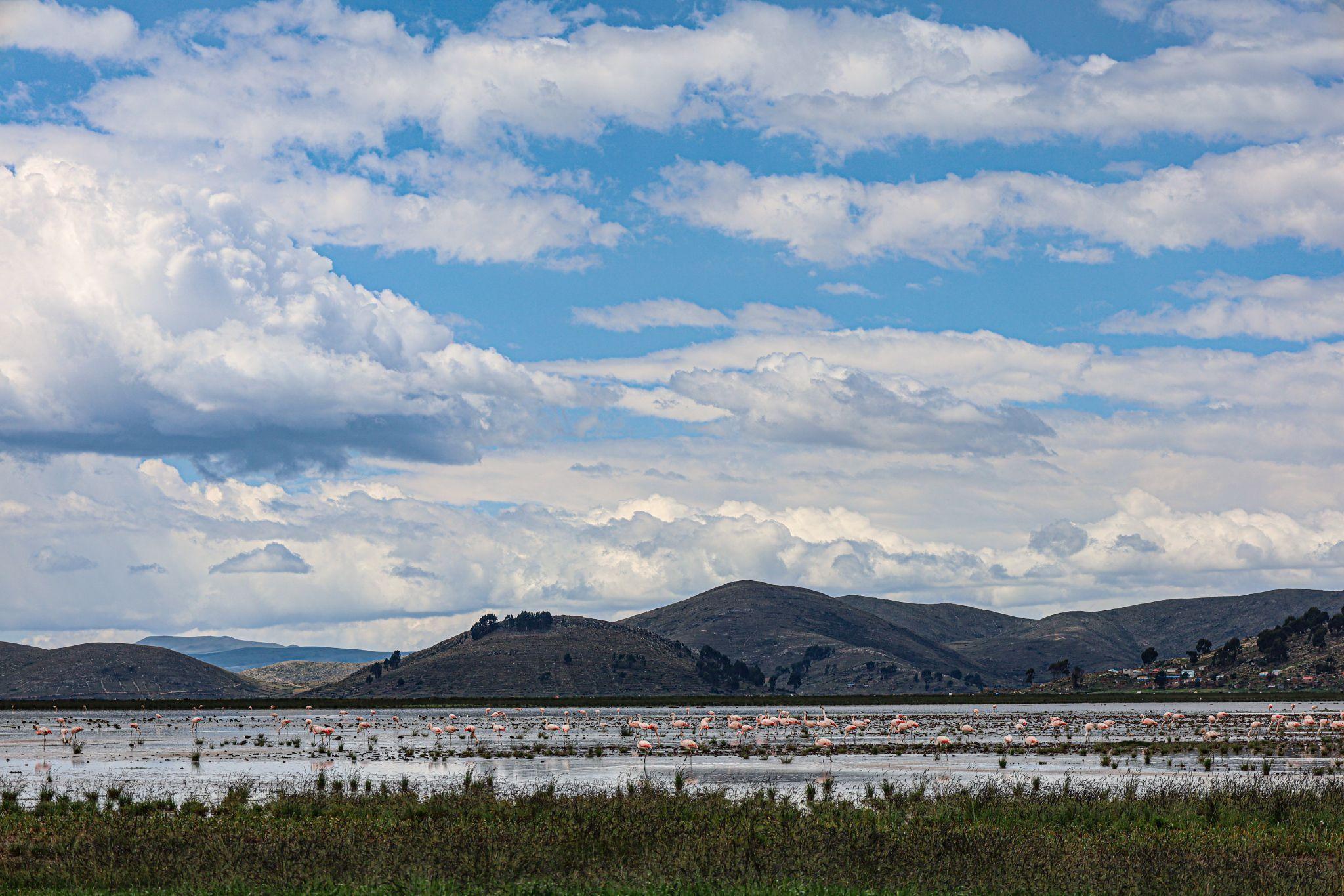 Mama Qota at Risk | Cultural Survival