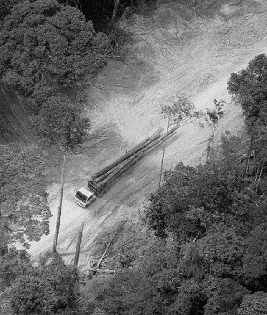 Saramaka People v Suriname: A Human Rights Victory and Its Messy ...