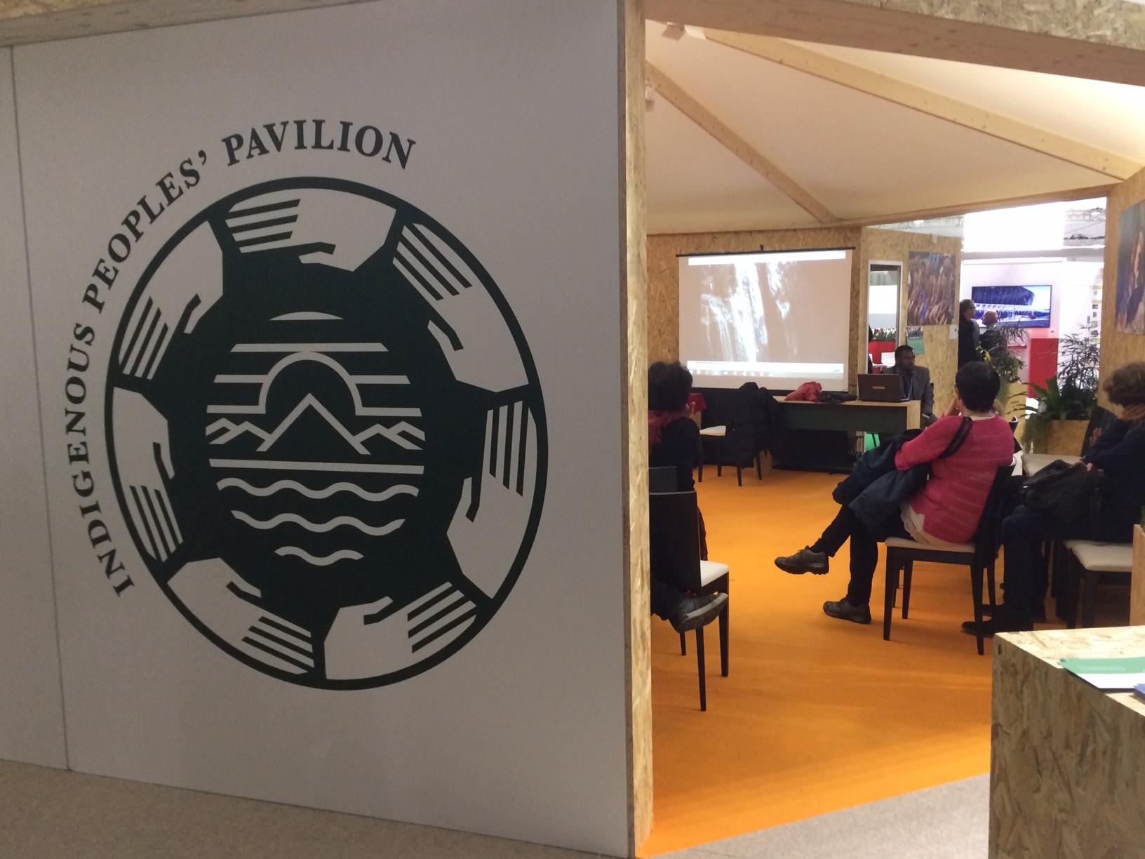 United Nations Framework Convention on Climate Change | Cultural Survival