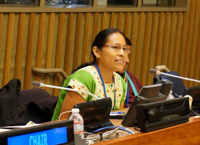 Maya Win Unprecedented Land Rights In Belize At International Courts ...