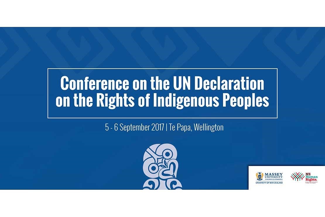 The Past, Present, and Future of the UN Declaration on the Rights of ...
