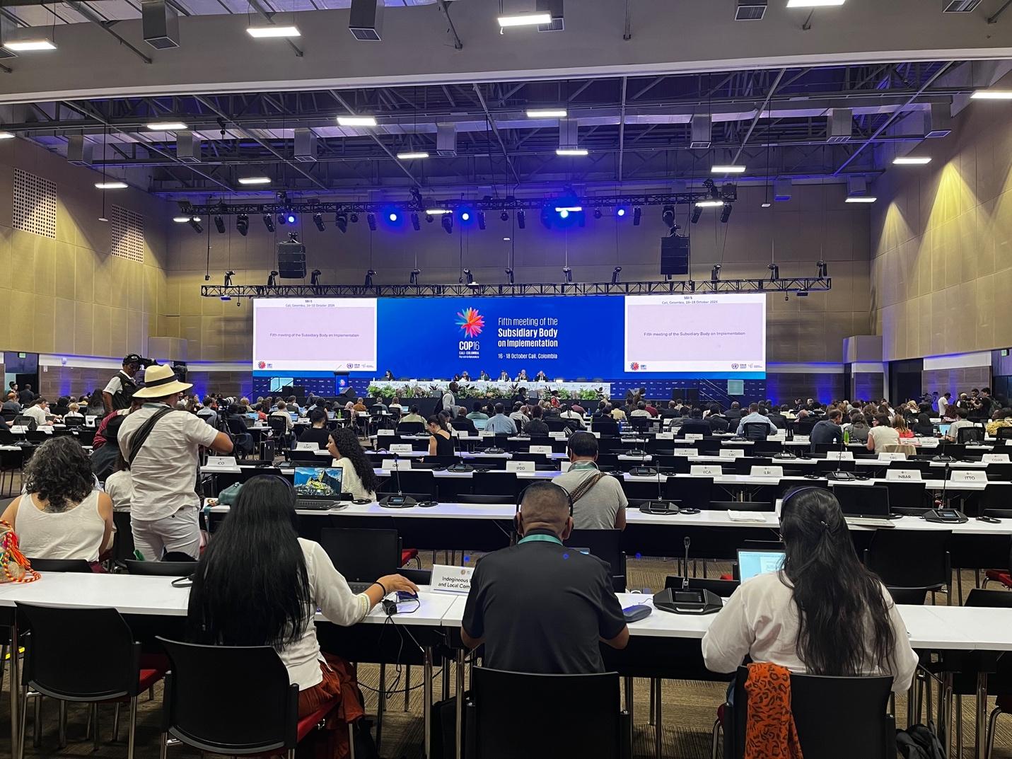 CBD COP16 Affirms Key Roles of Vulnerable Non-State Actors in ...