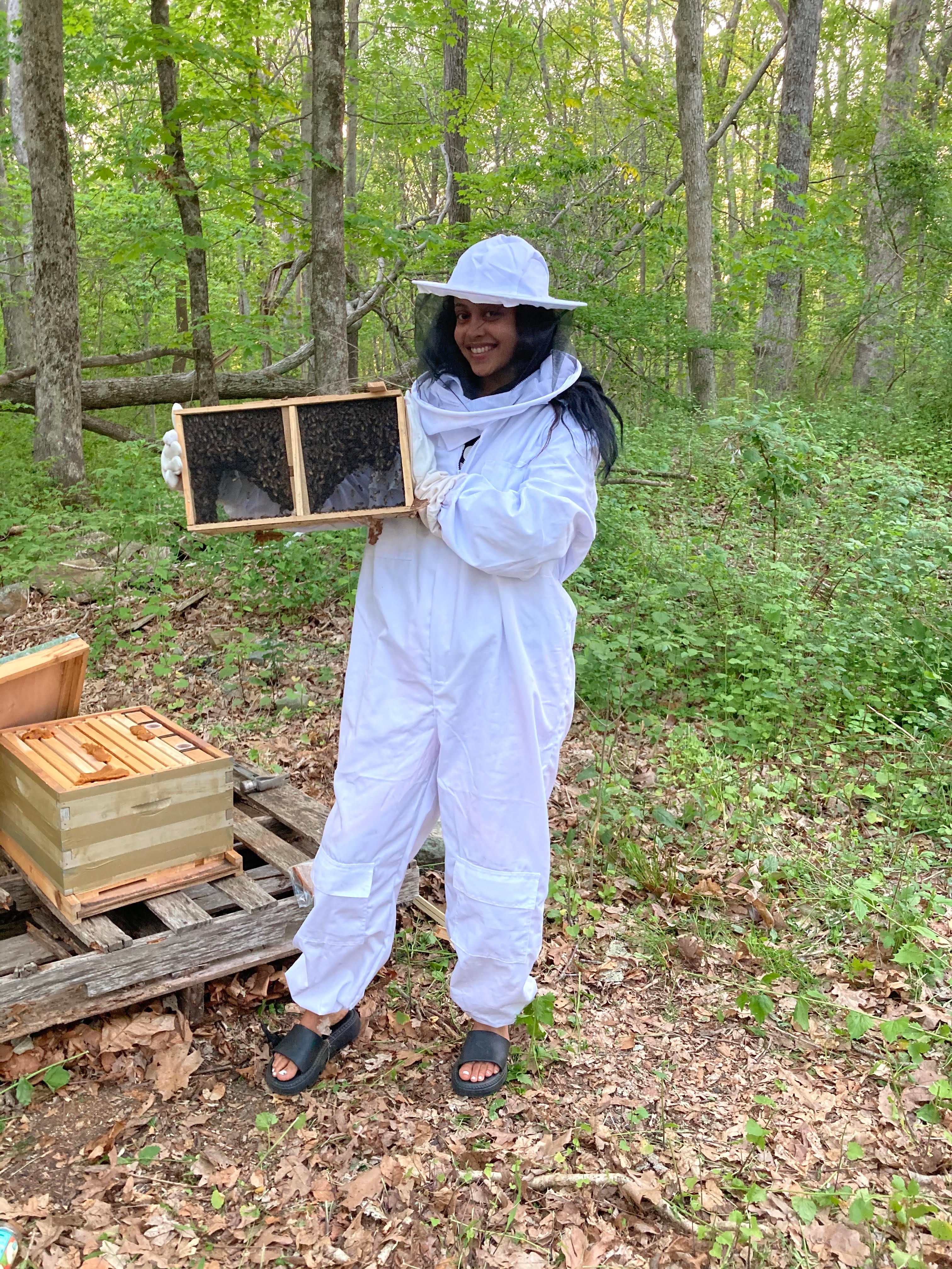 Indigenous Beekeeping on Turtle Island | Cultural Survival