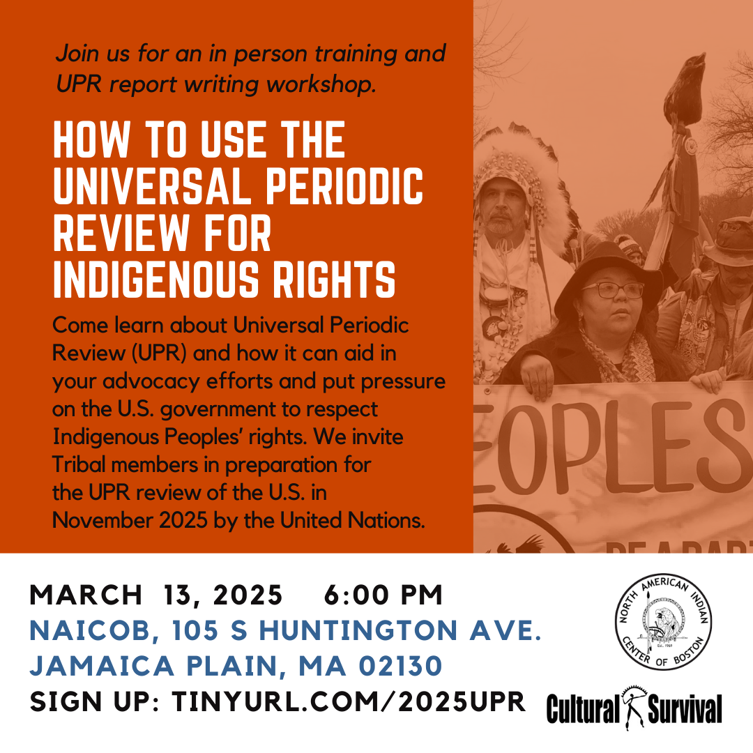 How to Use the Universal Periodic Review for Indigenous Rights ...